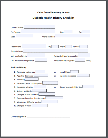 Diabetic Health History Form